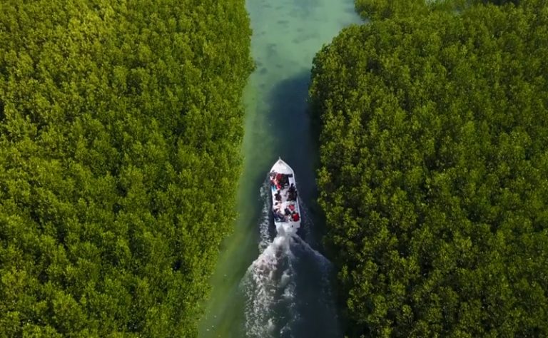 Island Divers - Bantayan Island - Scuba Diving & Freediving