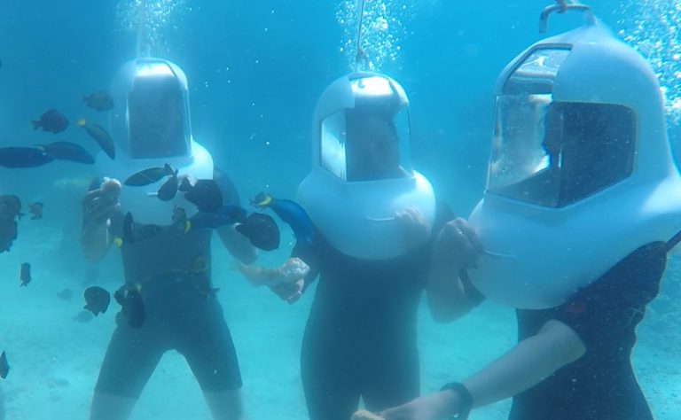 Island Divers - Bantayan Island - Scuba Diving & Freediving
