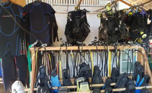Island Divers - Bantayan Island - Scuba Diving & Freediving